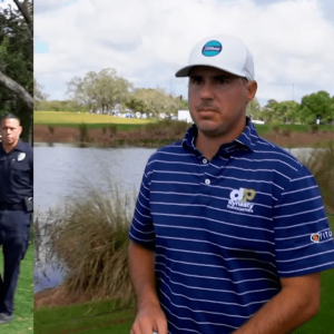 FILMON TV LIVE TV MOVIES AND SOCIAL TELEVISION