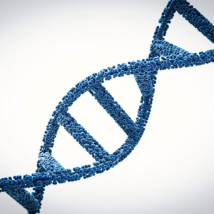 FILMON TV LIVE TV MOVIES AND SOCIAL TELEVISION