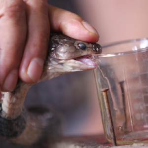 FILMON TV LIVE TV MOVIES AND SOCIAL TELEVISION